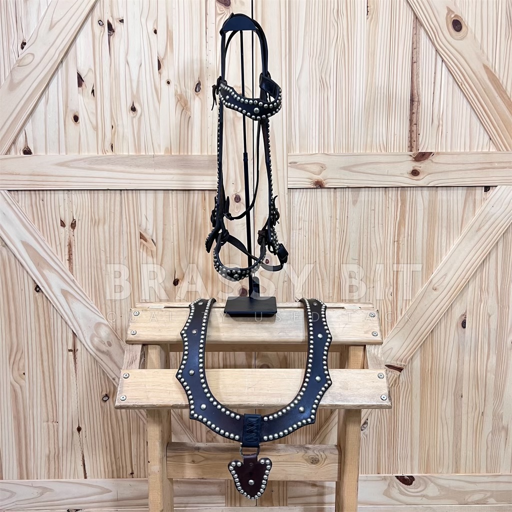 Vintage Dotted Western Parade Tack Set – Brassy Bit Tack