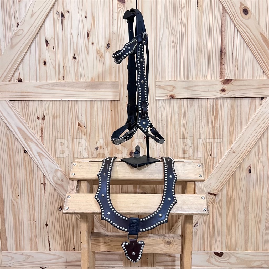 Vintage Dotted Western Parade Tack Set – Brassy Bit Tack
