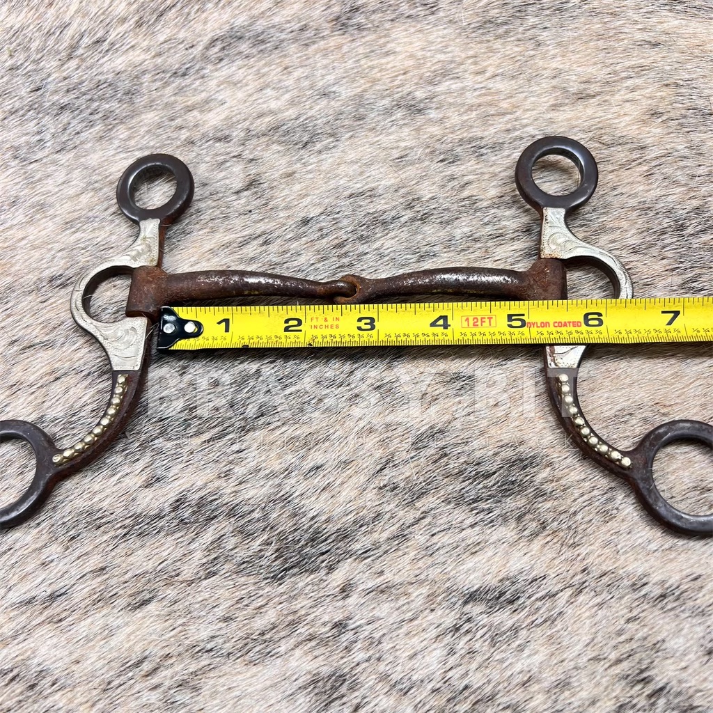 5″ Bob Avila Professional’s Choice Silver Show Curb – Brassy Bit Tack